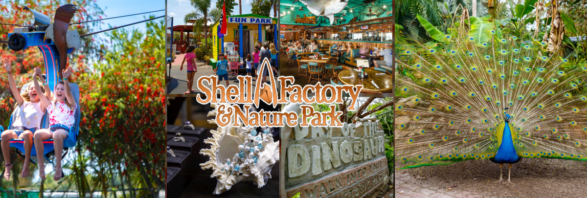 The Shell Factory is a hidden gem in Southwest Florida - ACUPFUL