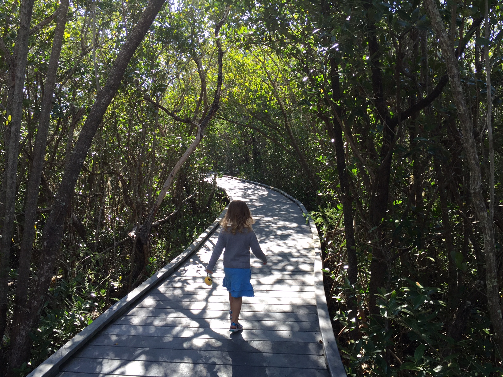 Sanibel & Captiva Islands: An Insider’s Guide to Beaches, Activities ...