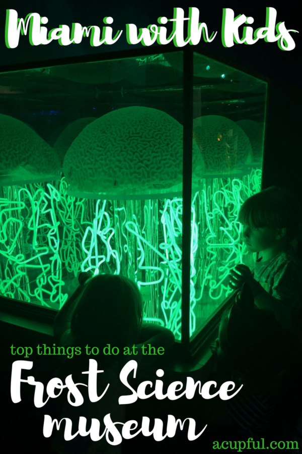 Miami with kids: Phillip and Patricia Frost Science Museum - ACUPFUL