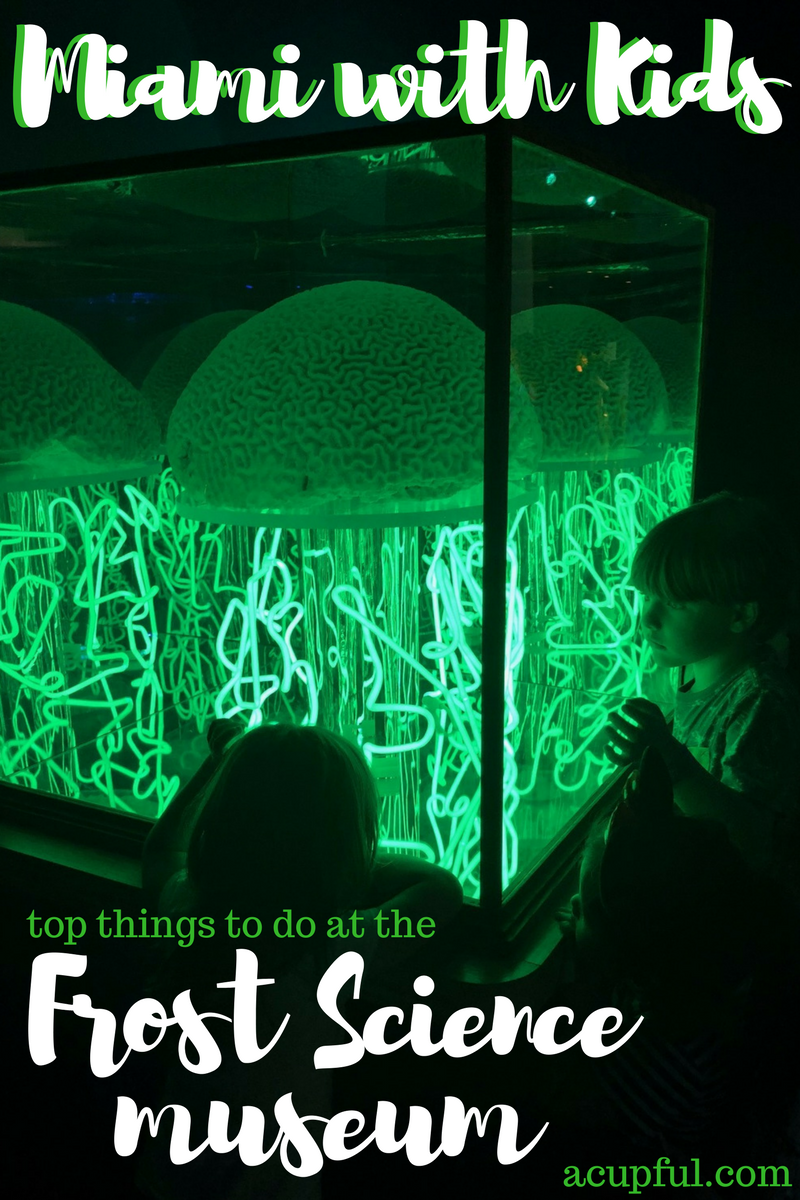 Miami with kids: Phillip and Patricia Frost Science Museum - ACUPFUL