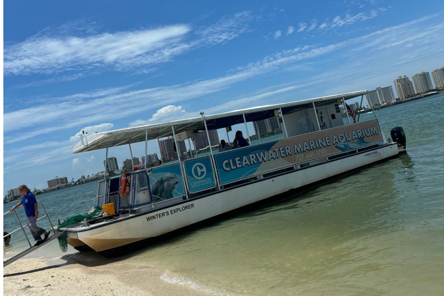 Clearwater Marine Aquarium: A Family Educational and Fun Adventure